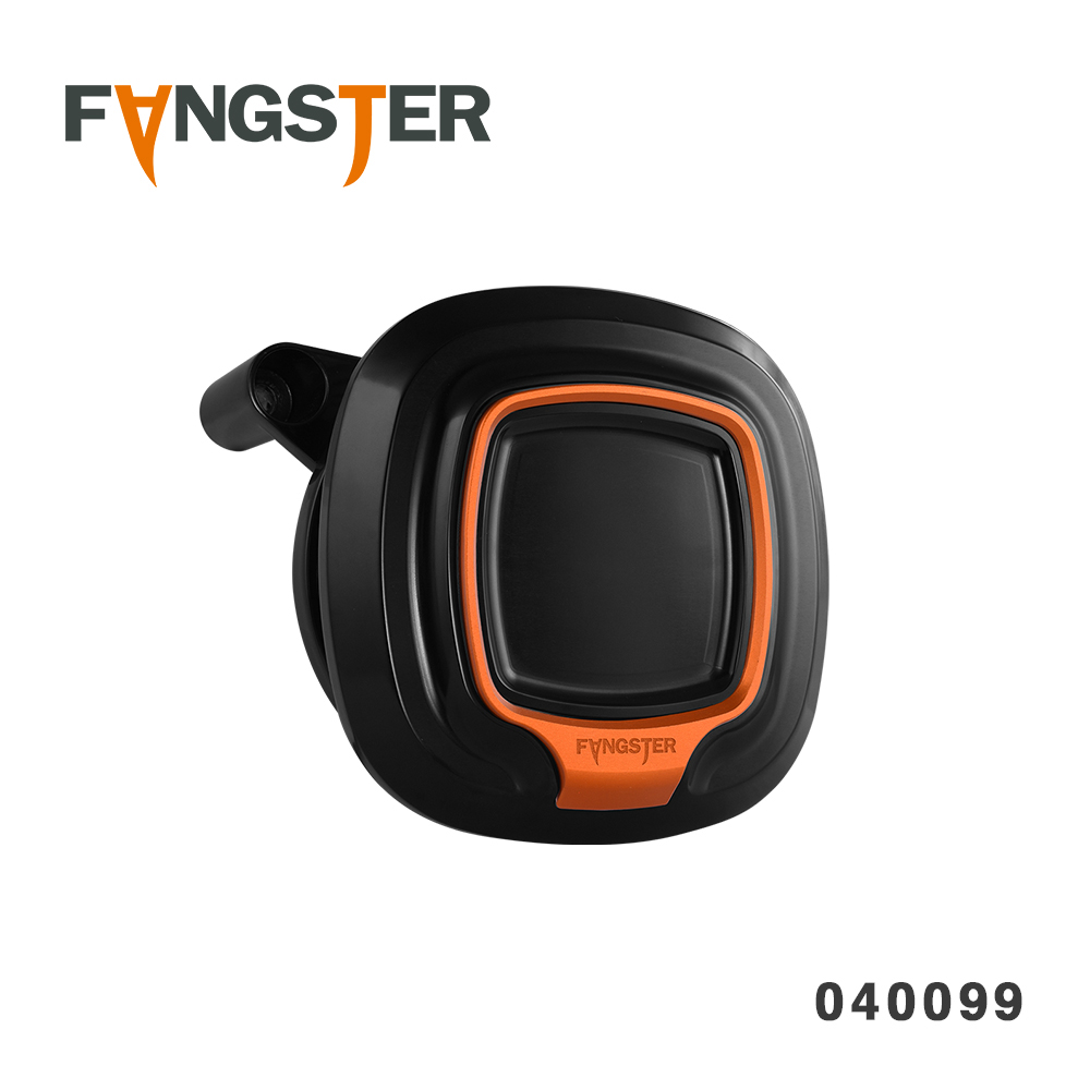 Fangster